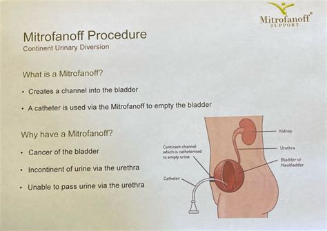 Mitrofanoff Colostomy Mitrofanoff Stomafriendlytoilets Stomaaware