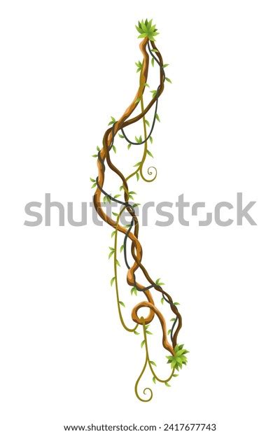 Twisted Wild Lianas Branches Banner Jungle Stock Vector Royalty Free 2417677743 Shutterstock