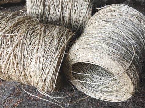 El Fique Conoce Esta Fibra Natural Y Su Trabajo Artesanal Vivo Boreal