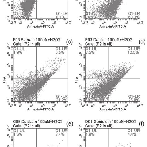 Calculation Of E E By Echocardiography The E Value Was Acquired As Download Scientific