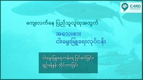 အသေးစား ငါးမွေးမြူရေးလုပ်ငန်း အပိုင်း ၂ Youtube