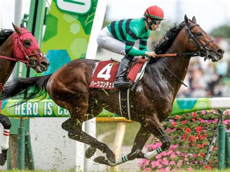 【神戸新聞杯予想オッズ】ハーツコンチェルトが予想1番人気 競馬ニュース Netkeiba