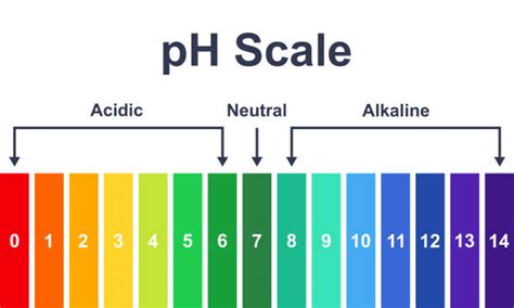 Simple Ph Scale