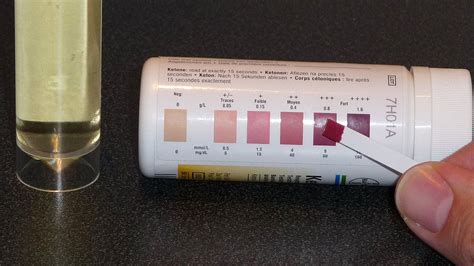 Ketones In Urine All You Need To Know Hvmn® Blog
