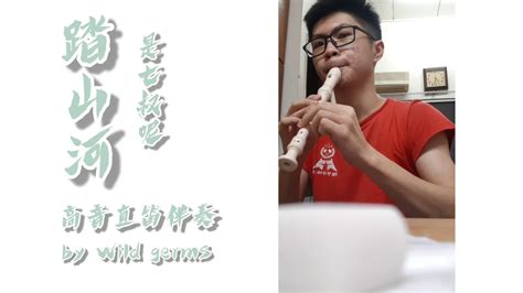 踏山河 是七叔呢 直笛 高音笛 高音直笛 长枪刺破云霞 放下一生牵挂 YouTube