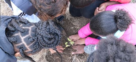 Agronomy Texas 4 H