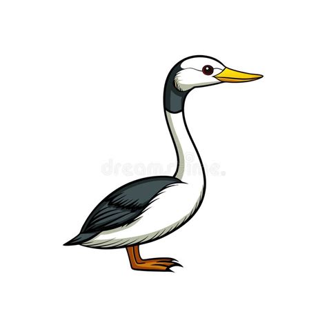 Grebe Illustration Stock Illustrations 2263 Grebe Illustration Stock