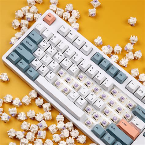 [diy Kit] 몬스타기어 닌자87pro V2 Ver Barebone 몬스타기어 혁신적인 입력 장치 및 수냉식 Ai