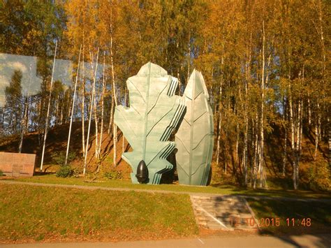 Kokkorevo, Russia 2023: Best Places to Visit - Tripadvisor