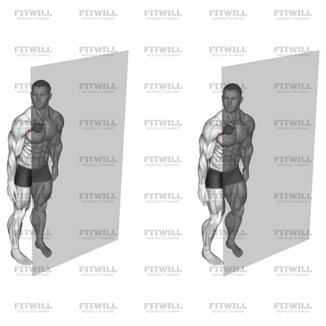 Roll Ball Pectoralis Major Clavicular Exercise Guide Techniques