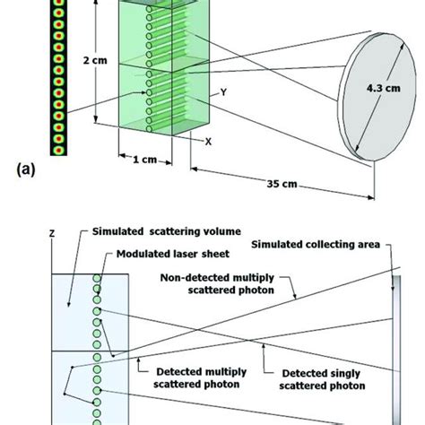 Description Of The Numerical Simulation A Two Homogeneous Cubic Download Scientific Diagram