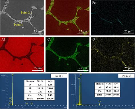 Sem Map Scanning Results Of Solute Elements And Corresponding Eds Point