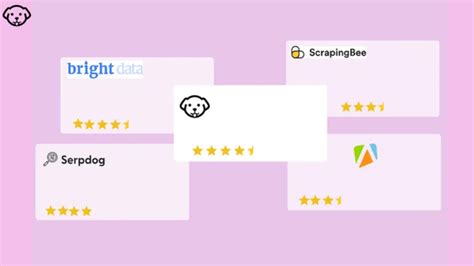 Best Google Serp Apis In To Extract Data From Search Results