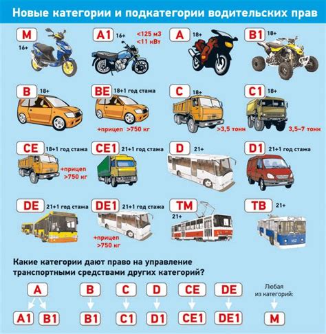 Категория В1 водительских прав что это означает и какие ТС можно