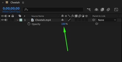 How To Use Opacity In After Effects