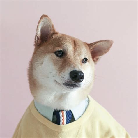 vscode内的vim自动切换输入法 lauginwing的博客 lauginwing blog