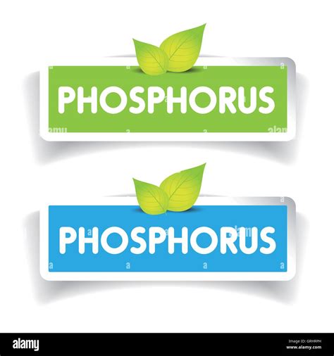 Phosphorus Label Vector Set Stock Vector Image Art Alamy