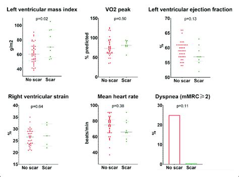 Key Measurements By Echocardiography Cardiopulmonary Exercise Testing Download Scientific