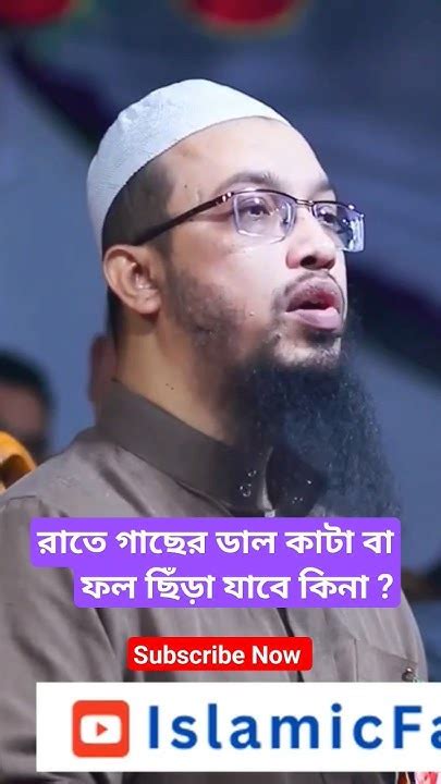 রাতে গাছের ডাল কাটা বা ফল ছিঁড়া যাবে কিনা Shorts Viral