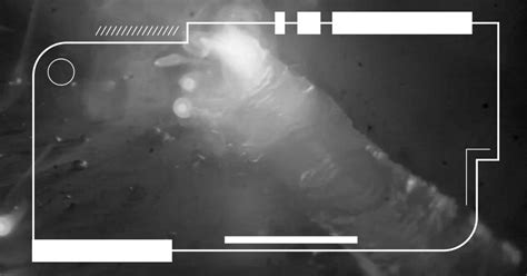 Lack Of Fusion Vs Lack Of Penetration In Welding Key Differences And How To Prevent Them