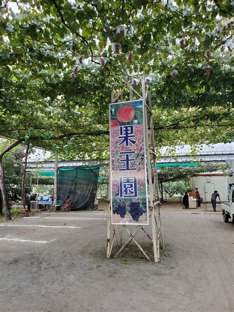 シーズンオフ 果王園