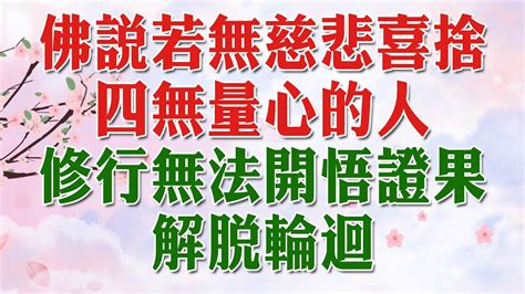 如果慈悲喜捨心是無量廣大的 你就不會對任何一個人起瞋恨之心 YouTube
