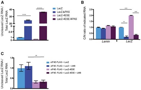 The Pas Rna Element Is Required For Eif4e Dependent Cleavage A