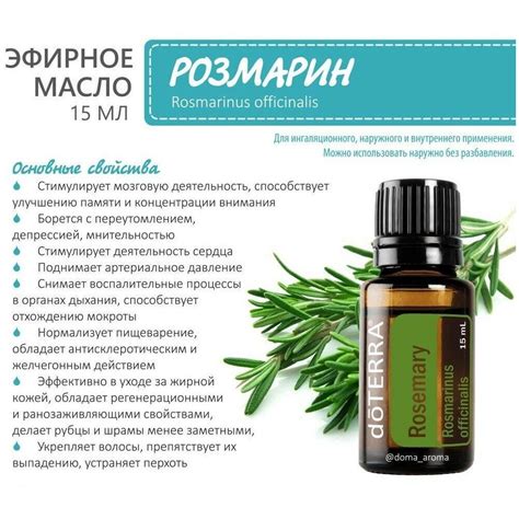 Эфирное масло розмарина