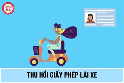 Những Trường Hợp Nào Bị Thu Hồi Giấy Phép Lái Xe Từ 0162024 Xử Lý