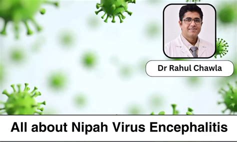 Why Kerala Has Recurrent Nipah Virus Outbreaks Know All About Nipah