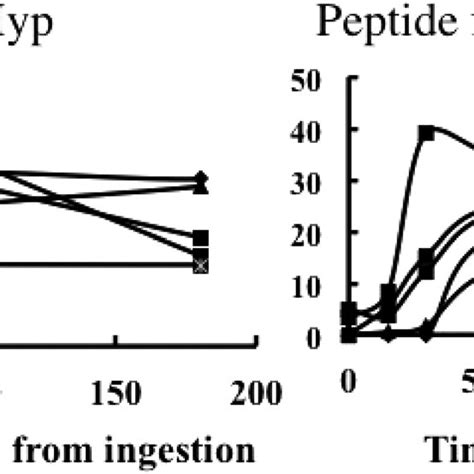 Reversed Phase High Performance Liquid Chromatography Rp Hplc