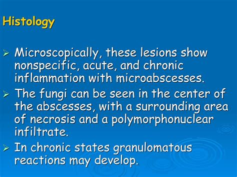 Assoc Prof Dr Ferda Özkan Ppt Download