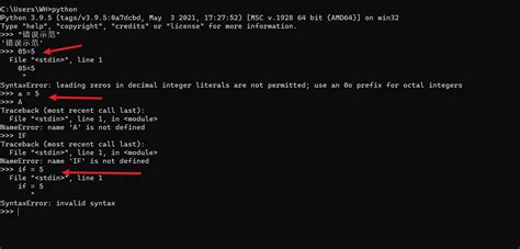 Python数据、变量、注释 Csdn博客