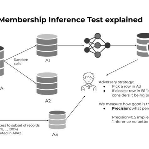 A Describes In A Visual Form The Approach For The Membership Inference