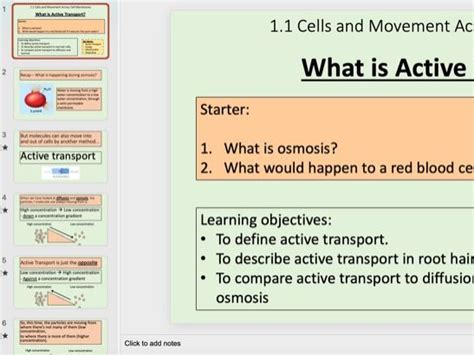 Wjec Gcse Biology Topic 1 Cells And Movement Across Cell Membranes