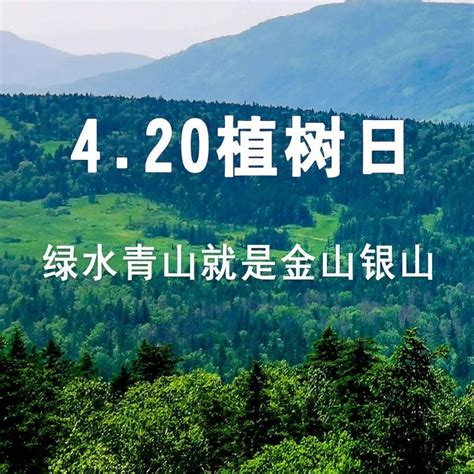 【植树日宣传】420 森工植树日曲立娇审核周万常