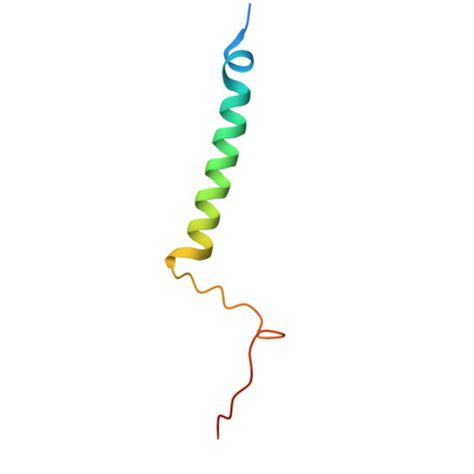 RCSB PDB - 8H8S: Bovine Heart Cytochrome c Oxidase in the Calcium-bound ...