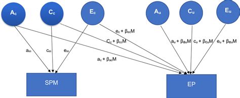The Bivariate Moderation Model Assuming The Resilience Model The Download Scientific Diagram
