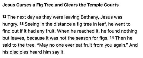 Jesus Fighting A Tree R Idiotsfightingthings