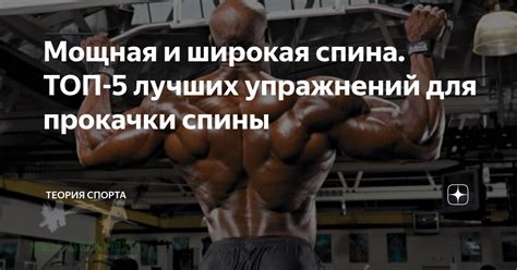 Мощная и широкая спина ТОП 5 лучших упражнений для прокачки спины