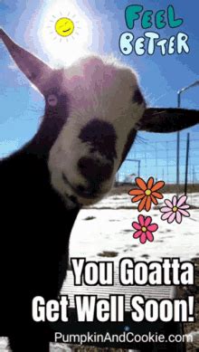 Funny Feel Better Memes S Tenor