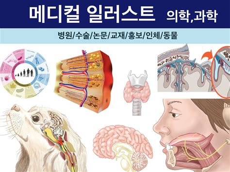 의학과학 일러스트 크몽