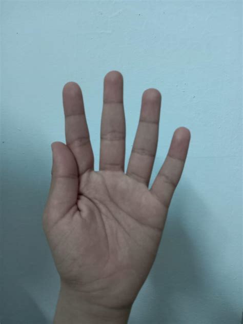 Rgb Arabic Alphabet Sign Language Aasl Dataset Object Detection