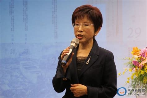 国民党党产遭追杀 洪秀柱批蔡英文当局抄家灭族时政中国台湾网