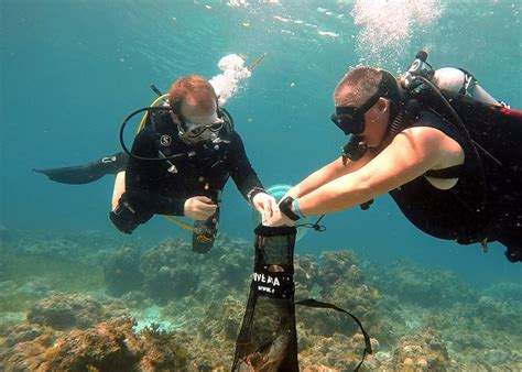 Leading The Way In Sustainable Diving Sierra Madre Divers