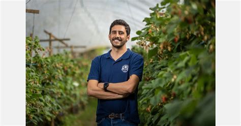 This Spring The Raspberry Crops Have Exceeded Our Expectations