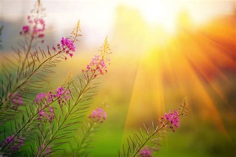 Vitamin D Deficiency And Why Sunshine Isnt Enough Zelenko Labs