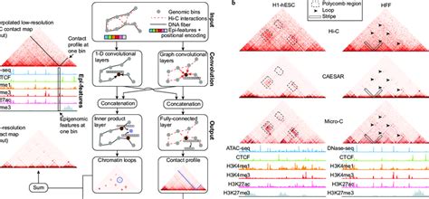 Overview Of The Model A Model Architecture The Model Inputs Are A Download Scientific Diagram