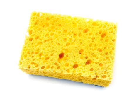 Premium Photo Yellow Sponge
