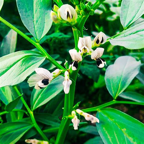 Rishabh Kannaujiya Youtube